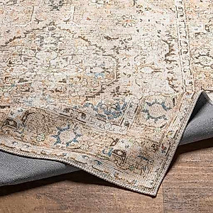 Kemer Collection Machine Washable Area Rug for Living Room Bedroom - Vintage Distressed Faded - Traditional Boho Bohemian Farmhouse Bordered Carpet - Pet Friendly - Brown, Beige, Cream - 8'10" x 12'