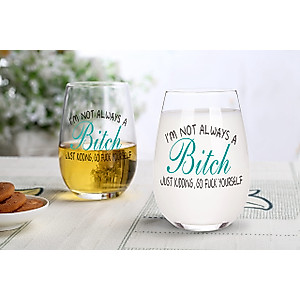 I'm Not Always, Just Kidding Funny Stemless Wine Glass Gifts for Women, Gag Christmas Birthday Gifts Ideas for Girlfriends, Women, Sister, Friends, BBF, Coworkers, Unique Friendship Wine Glass, 17oz