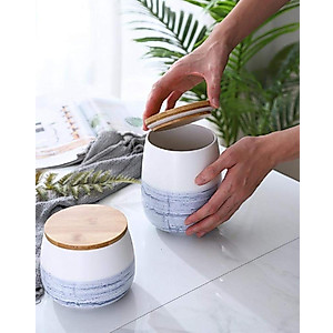 Kitchen Canisters Ceramic Food Storage Jar Containers with Airtight Seal Lid for Coffee Beans Chutneys Sugar Flour Spices Biscuits (Short)