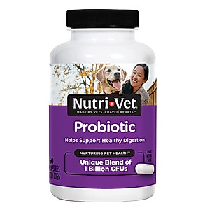 Nutri-Vet Probiotics Capsules for Dogs | Supports Digestive Health | For All Size Dogs | Promotes Healthy Immune System | Vet Formulated | 60 Count Capsules