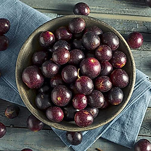 QAUZUY GARDEN 20 Muscadine Grape Seeds for Planting Outdoor Vitis rotundifolia E165, Non-GMO Seeds, Delicious and Nutritious Fruits Survival Gear Food Seeds