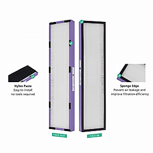 Drolma 2 Pack FLT5250PT Filter C True HEPA Replacement Filters + Pre Filter, Compatible with GermGuardian Air Purifier AC5250PT, AC5000E, AC5300B, AC5350W, AC5350B, CDAP5500 Series Filter C, 2 Units