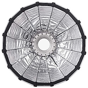 Aputure Light Dome mini II