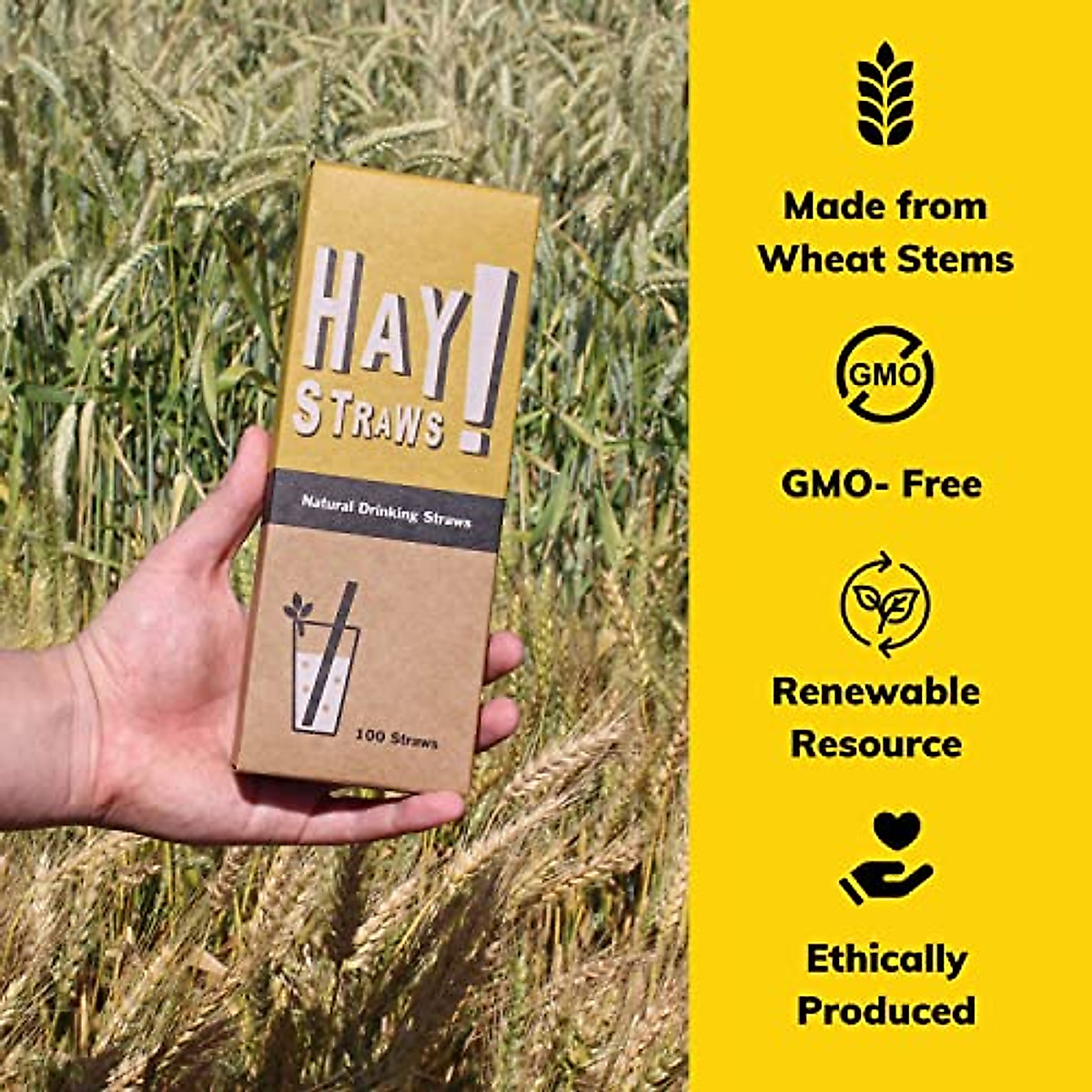 HAY! Straws Tall Drinking Straw | 100ct | 7.75" | 100% Biodegradable, 100% Plant-Based, Never Soggy, Gluten-Free | Sustainable Alternative to Plastic & Bioplastic Straws
