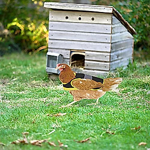 TTBDWiian Pet Clothes Hangers Chicken Saddle Hen Apron for Poultry Back Wing Pet Reflective Vest Adjustable Hen Saddle Apron