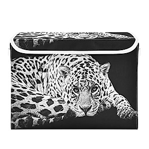 Kigai Leopard Cheetah Black Storage Basket with Lid Collapsible Storage Bin Fabric Box Closet Organizer for Home Bedroom Office 1 Pack