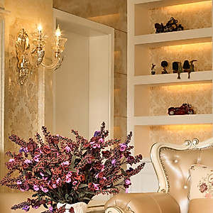 COLWATT 12-Pack E12 Candle Light Bulbs 40W Warm White 2500K, 380 Lumen Dimmable Chandelier Light Bulbs for Ceiling Fan, Pendants or Outdoor, CA10 Clear Candelabra Base Bulbs