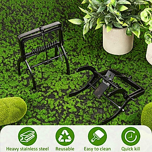 SiliFine 4 Pcs Mole Traps Vole Mole Traps Galvanized Steel Mole Scissor Trap Outdoor Easy to Set Black Eliminator Trap Mole Killer Gopher Trap for Home Farmhouse Lawn Field Outdoor Garden Yard Vole