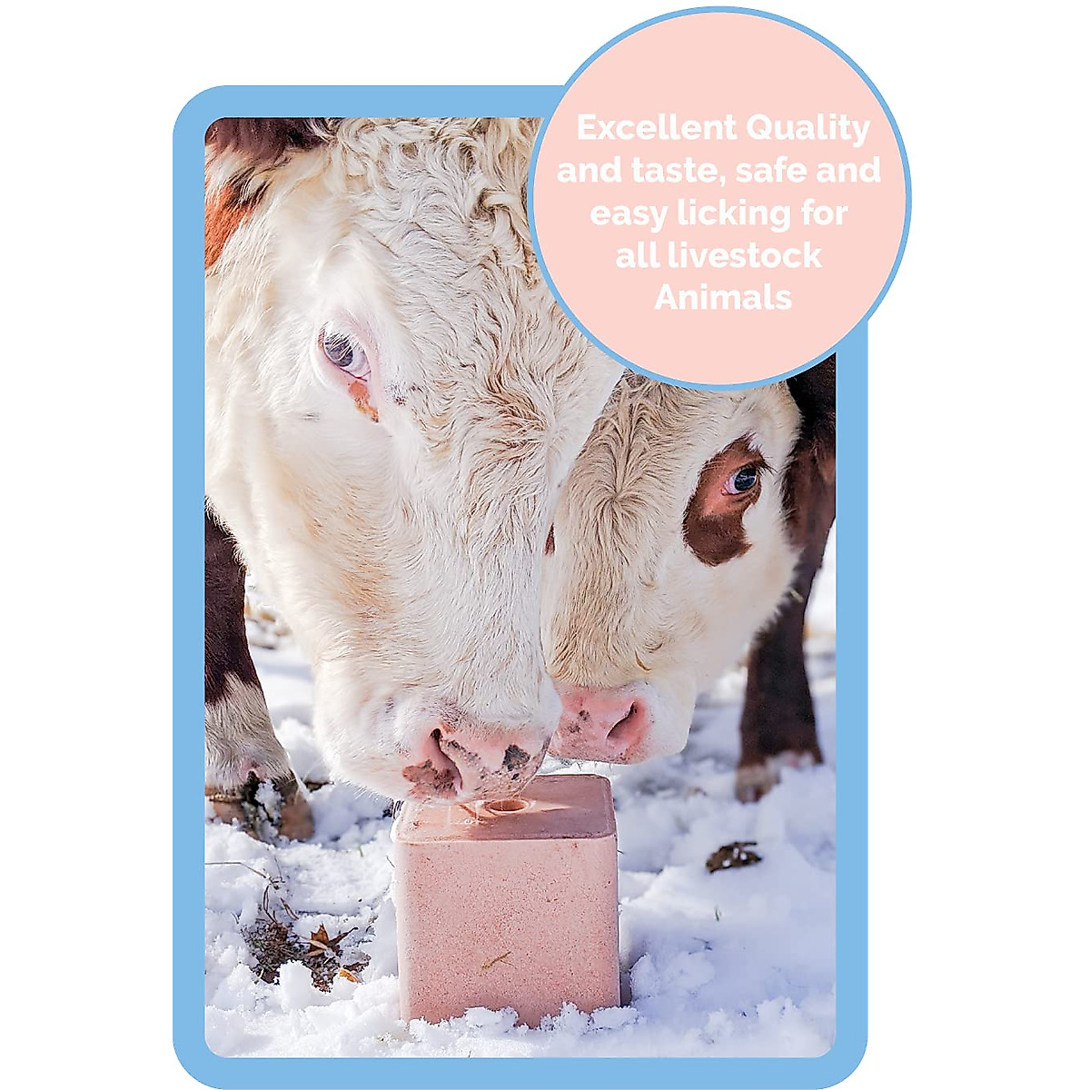 Himalayan Secrets® 5.5LB (2.5KG) Compressed Pink Himalayan Salt Lick | for Livestock and Wildlife Animals | 100% Pure & Natural Feed Salt Block | Natural Minerals and Trace Elements