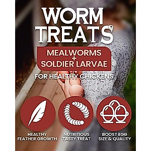 NC Grubsnack 10lbs Dried Mealworms Black Soldier Fly Larvae Mix Treats for Backyard Chickens, Scratch Feed for Backyard Flock Party Poultry Fowl Layers hens with Rich Protein and Calcium