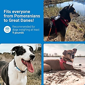 Tractive GPS Tracker for Dogs - Waterproof, GPS Location & Smart Pet Activity Tracker, Unlimited Range, Works with Any Collar (Midnight Blue)