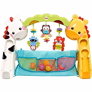 Fisher-Price Newborn-To-Toddler Play Gym With Music and Lights [Amazon Exclusive]