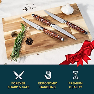The Dinner Pony Serrated Steak Knives Set of 6 - Wooden Handle, Full Tang and Triple Riveted Design in Gift Box - Pakka Wood and High Carbon Stainless Steel