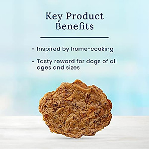 Blue Buffalo Nudges Homestyle Natural Dog Treats, Chicken, 10oz Bag