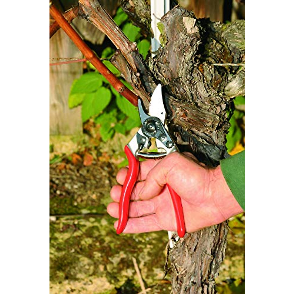 Felco Pruning Shears (F 6) - High Performance Swiss Made One-Hand Garden Pruners - 100052385