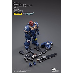 HUAXI DARK SOURCE(HAINAN)TECH Joy Toy Warhammer Brother Vet SGT Castor 1/18 FIG
