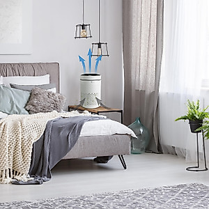 Senville Air Purifier for Home Allergies, Pet Hair in Bedroom, 3-in-1 HEPA Filter, Dust, Smoke, Pollutants, Odor, Flow 500, White