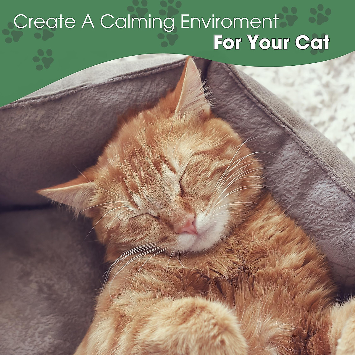 Daintry Cat Calming Pheromone Diffuser with.a Sunflower Smell Starter Kit: Reduces Multi-cat Tension, Conflict, Anxiety, and unwanted Behavior. Perfect for a Peaceful Environment.