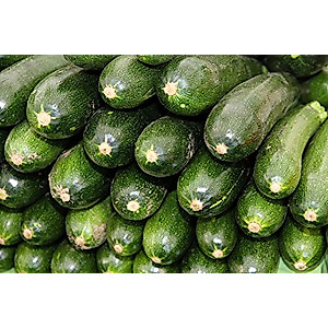 Zucchini Seeds - Black Beauty - aka Summer Squash or Courgette - Heirloom - Liliana's Garden