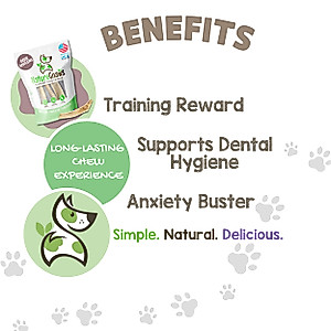 Nature Gnaws USA Deer Antlers for Dogs 4-7" (5 Count) - Mix of Split and Whole Pieces - Long Lasting for Small and Medium Breeds - Natural Dog Chew Bones