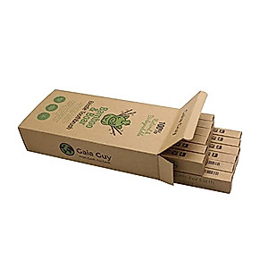 Gaia Guy Natural Bristle Bamboo Toothbrush with Boar Bristles - Totally Biodegradable and Compostable - No Nylon Toothbrushes - Zero Waste 12-Pack