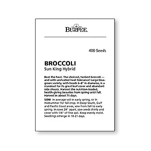 Burpee Sun King Broccoli Seeds 400 seeds