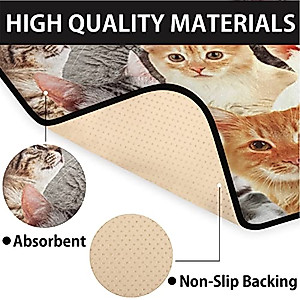 Kitchen Mat Cute Kitty Cat Kitchen Floor Mat Cushioned Anti-Fatigue Kitchen Rug 3D Cat Non-Slip Kitchen Rugs and Mats Comfort Mat for Kitchen, Floor Home, Office, Sink, Laundry