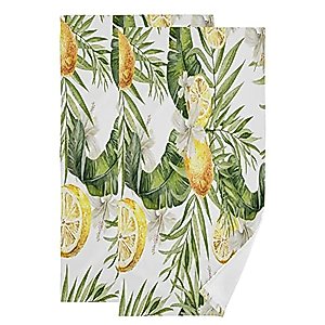 Kigai Tropical Lemon Flowers Hand Towels, Soft & Absorbent Bathroom Guest Towels Kitchen Towels Fingertip Towel for Beach Gym Spa 14x28 Inch (2PACK)