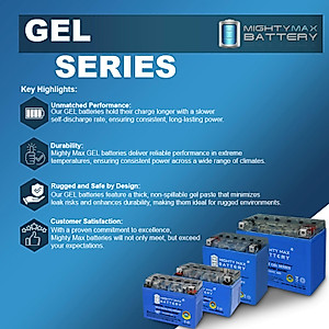 Mighty Max Battery YTX14-BS GEL Replacement Battery for Duralast CTX14-BSFP