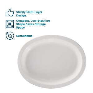 Dixie Ultra Large Heavy-Weight Paper Platters by GP PRO (Georgia-Pacific), White, SX11PLW, 500 Count (125 Platters Per Pack, 4 Packs Per Case)