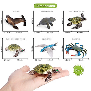 Volnau Sea Creature Toys Figures 13PCS Atlantic Ocean Shark Animals Figurines for Toddlers Kids Christmas Decoration Gift Plastic Fish Preschool Pack and Bath Set