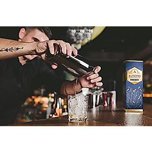 ALOONO 11-Piece Black Boston Cocktail Shaker Set Bartender Kit | Drink Mixer Bar Set | Cocktail Set Bar Accessories: Martini Shaker, Strainer, Jigger, Muddler, Spoon, & More