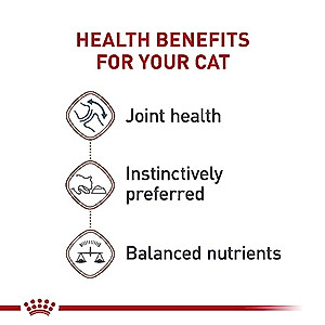 Royal Canin Feline Health Nutrition Aging 12+ Loaf in Sauce Canned Cat Food, 5.1 oz Can (24-Count)