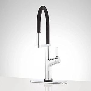 Signature Hardware 949181 Fanning Filtration Kitchen Faucet