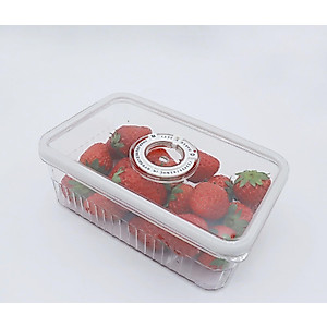 halteoly Fruit Storage Containers for Fridge,3 Pc Stackable Food Vegetables Saver for Refrigerator, Freezer organizers and Fresh Keeper Bin,Produce Saver box