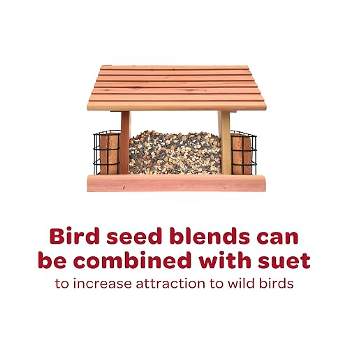 Kaytee Wild Bird Nut & Fruit Seed Treat Bell