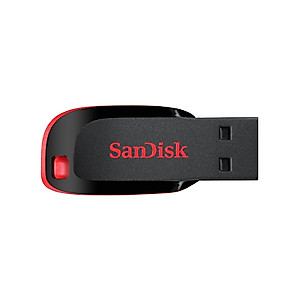 SanDisk Cruzer Blade 128GB (10 Pack Bundle) USB 2.0 Flash Drive Jump Drive Pen USB Drive (SDCZ50-128G-B35) Plus (5) Everything But Stromboli (TM) Lanyard