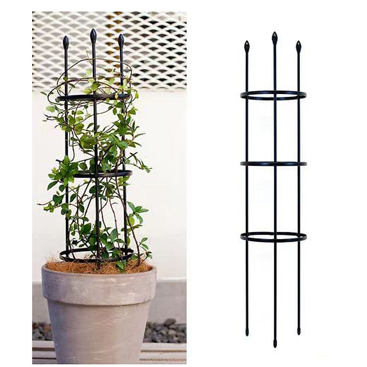 Black Plant Trellis Garden Trellis Clinging Roses Trellis Plant Cage Climbing Flower Support with Coating to Decorate Your Garden 2 Packs