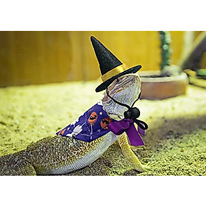 Vehomy 4Pcs Halloween Bearded Dragon Witch Costume Bearded Dragon Witch Hats Lizard Bandanas with Pumpkin Candy Pattern Lizard Wizard Hat Lizard Pumpkin Scarf Outfit for Hamster Leopard Gecko
