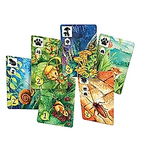 Meadow Board Game - Nature Observing Drafting and Set Collection Game, Strategic Exploration, Fun Family Game for Kids & Adults, Ages 10+, 1-4 Players, 60-90 Minute Playtime, Made by Rebel Studio
