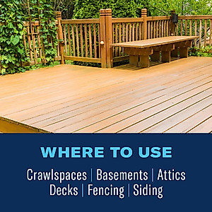 BioAdvanced Termite and Carpenter Bee Killer Plus, Foam, 18 oz