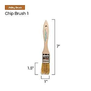 Vermeer Chip Paint Brushes - 24-Pack - 1" Chip Brushes for Paints, Stains, Varnishes, Glues, & Gesso - Home Improvement - Interior & Exterior Use