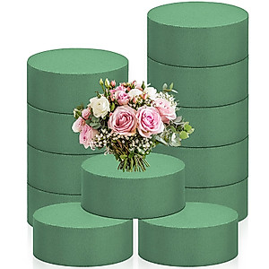 24 Pcs Round Floral Foam Blocks,Green Wet Foam Block,Dry Floral Foam,Wet Florist Styrofoam Block Flower Arrangement Supplies for Wedding Aisle Flowers,Arty Decoration,Party