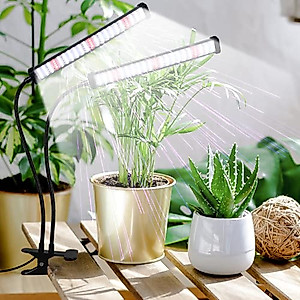 GooingTop Grow Light 100W 6000K, Super Bright White Desktop Clip Plant Lamp for Seedlings Succulents Seeds Starting Indoor Plants Growing,Bendable Gooseneck & Timer 4 8 12 H