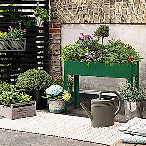 Raised Garden Bed for Vegetables Elevated Planter Box with Legs Outdoor Patio Flower Herb Container Gardening