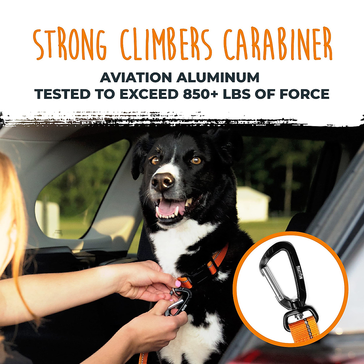 Mighty Paw Two Handle Dog Leash - Extra Control When You Need - Strong Climbers Carabiner - Super Soft Neoprene Padded Handles for Ultimate Comfort - Easy & Convenient - Reflective Stitching - Orange