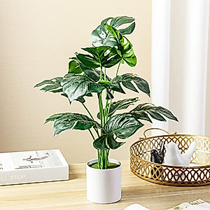 MyGift 20-inch Tall Artificial Garden Monstera Plant in Modern White Planter Pot, Fake Tropical Palm Tree, Faux Leafy Green Tabletop Decoration