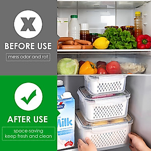 Pack of 3 Fruit Fresh Produce Protector, Grape Container for Fridge, Fruit Saver Lettuce Container with Drain Colanders, Partitioned Salad Container, Refrigerator Organizer for Lettuce Berry Food (3)