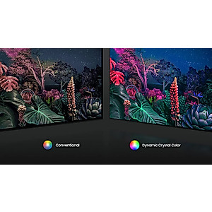 SAMSUNG QN85QN800BFXZA 85 Inch 8K QLED Quantum Mini LED HDR Smart TV with an Additional 2 Year Coverage (2022) (Used)