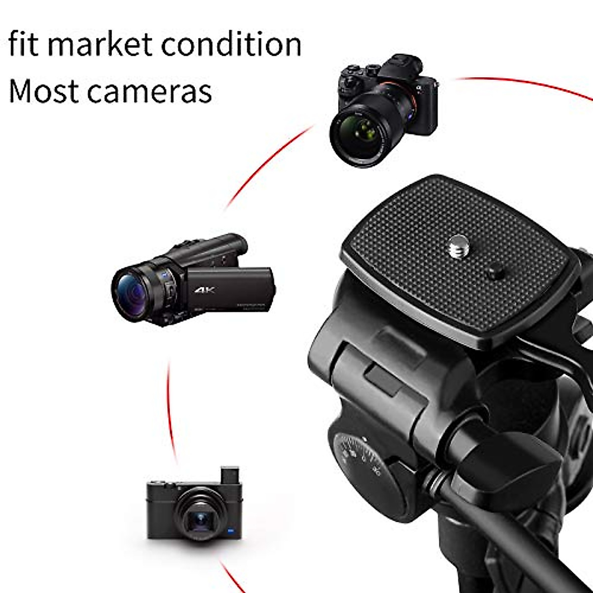 Erduoduo 2 Pack QR Plate（43x43mm） Quick Release Plate Replacement for Velbon tripods CX-460 CX-460mini CX-444 CX-888 CX-470 CX-570 CX-690 DF-50